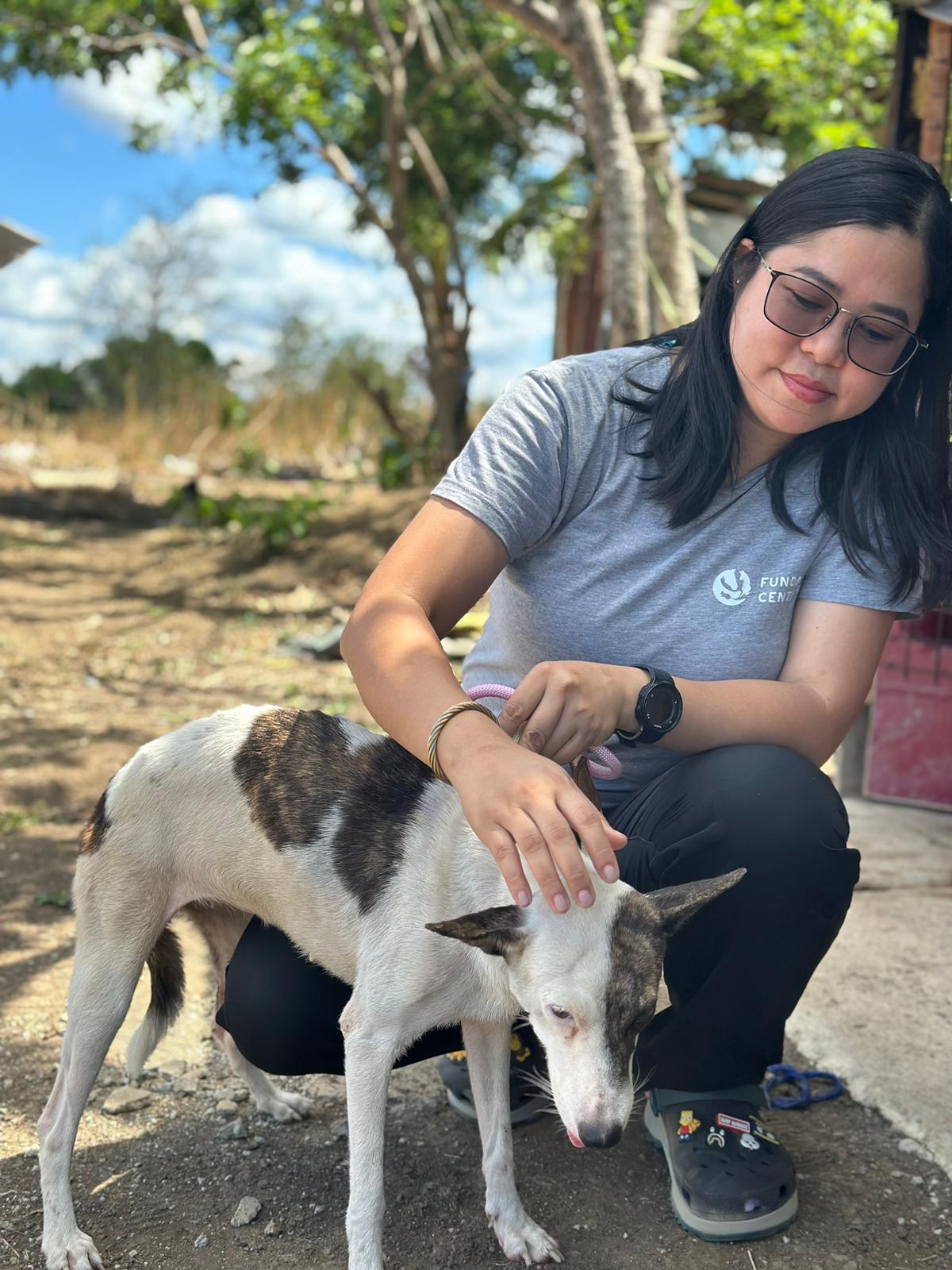 Psy - Fundacja centaurus