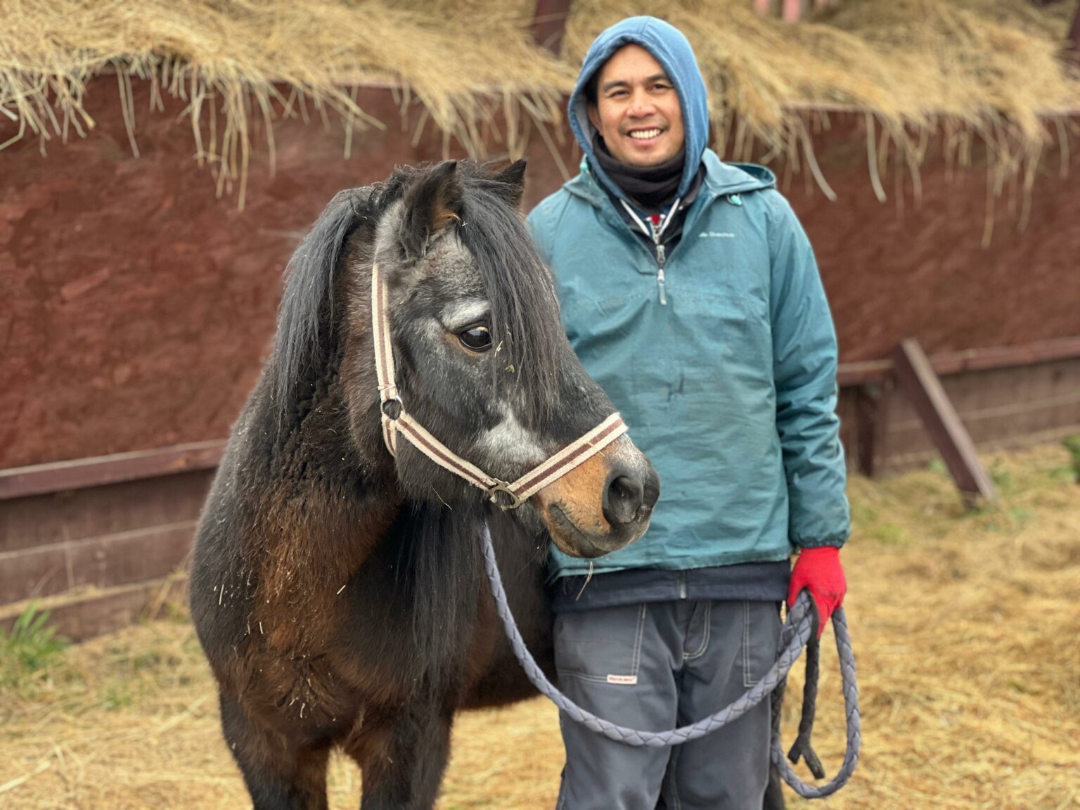 Homepage - Centaurus Fundation