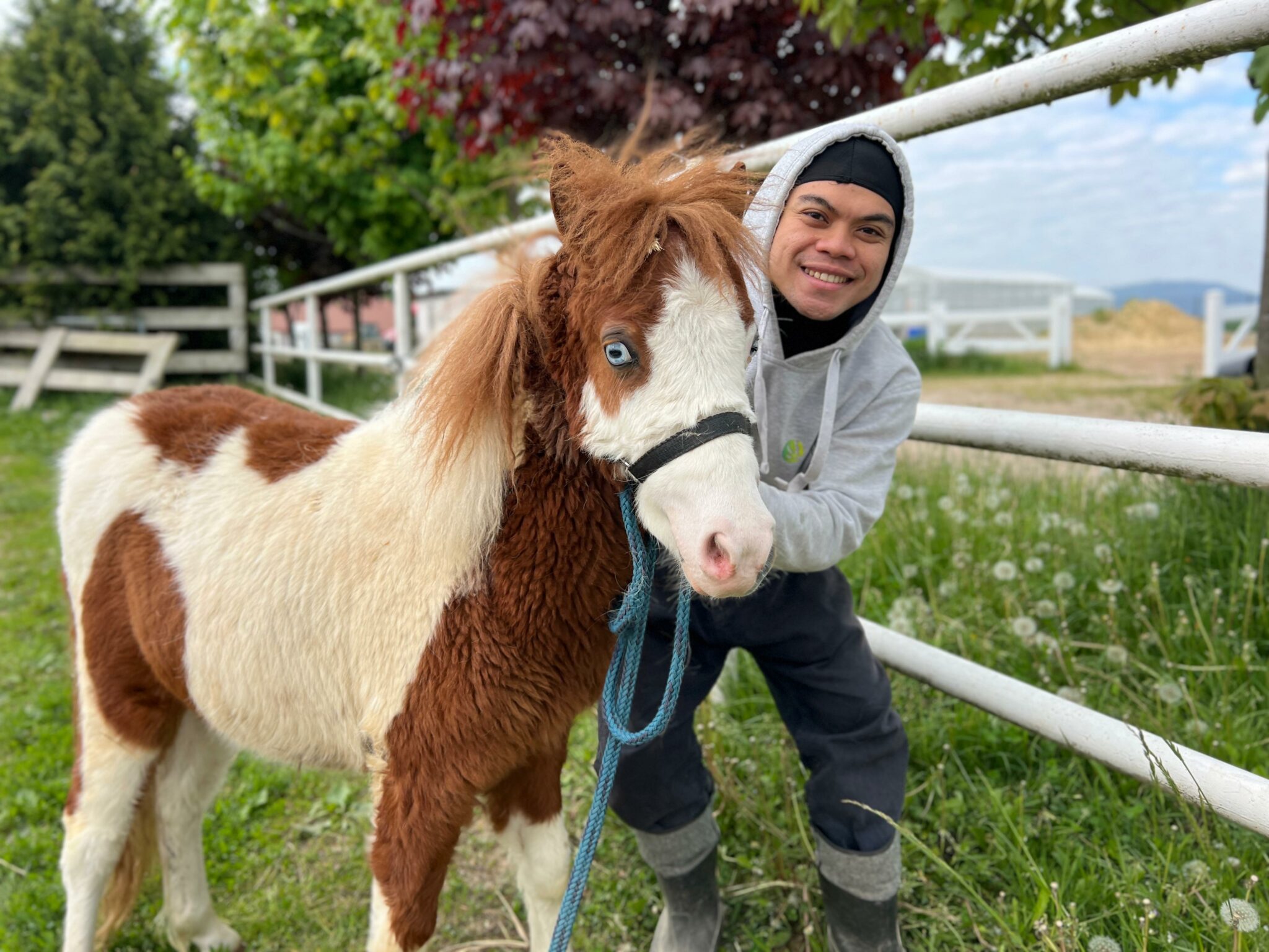 Homepage - Centaurus Fundation