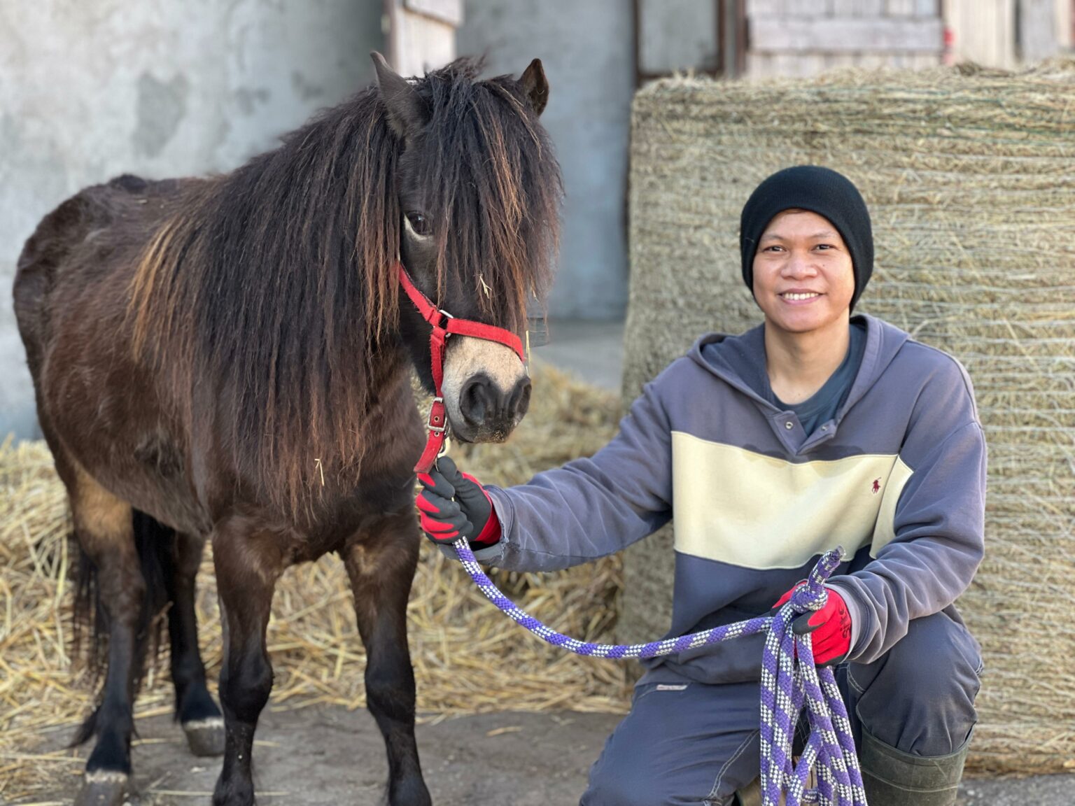 Gzik - Fundacja centaurus