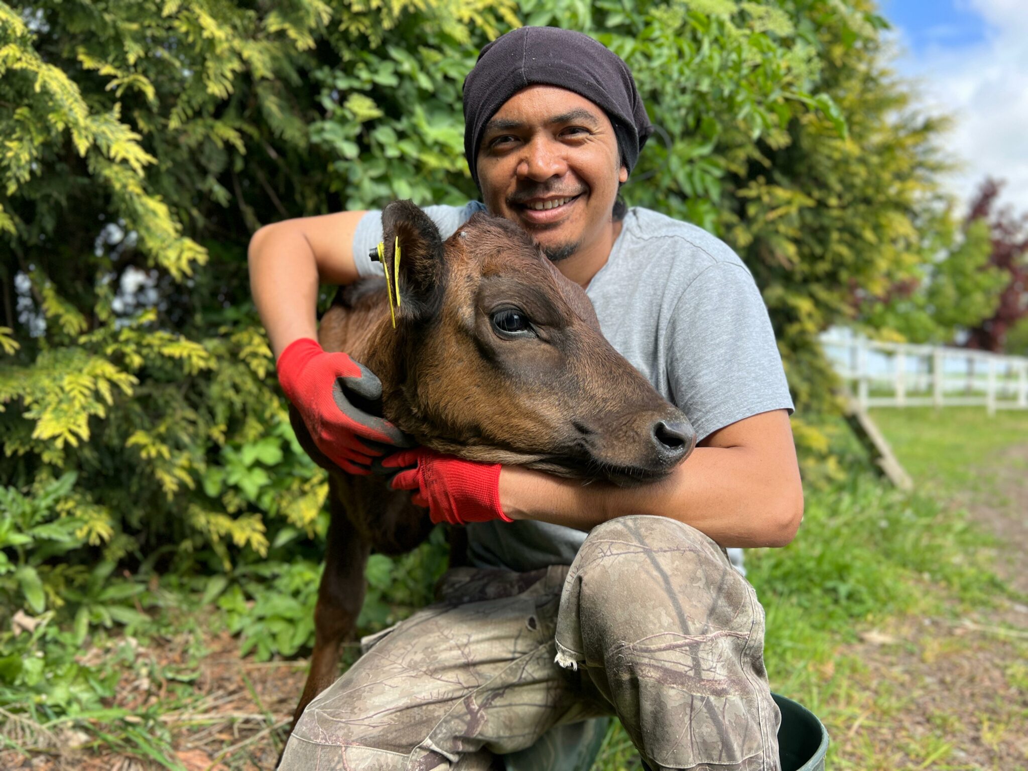 Homepage - Centaurus Fundation