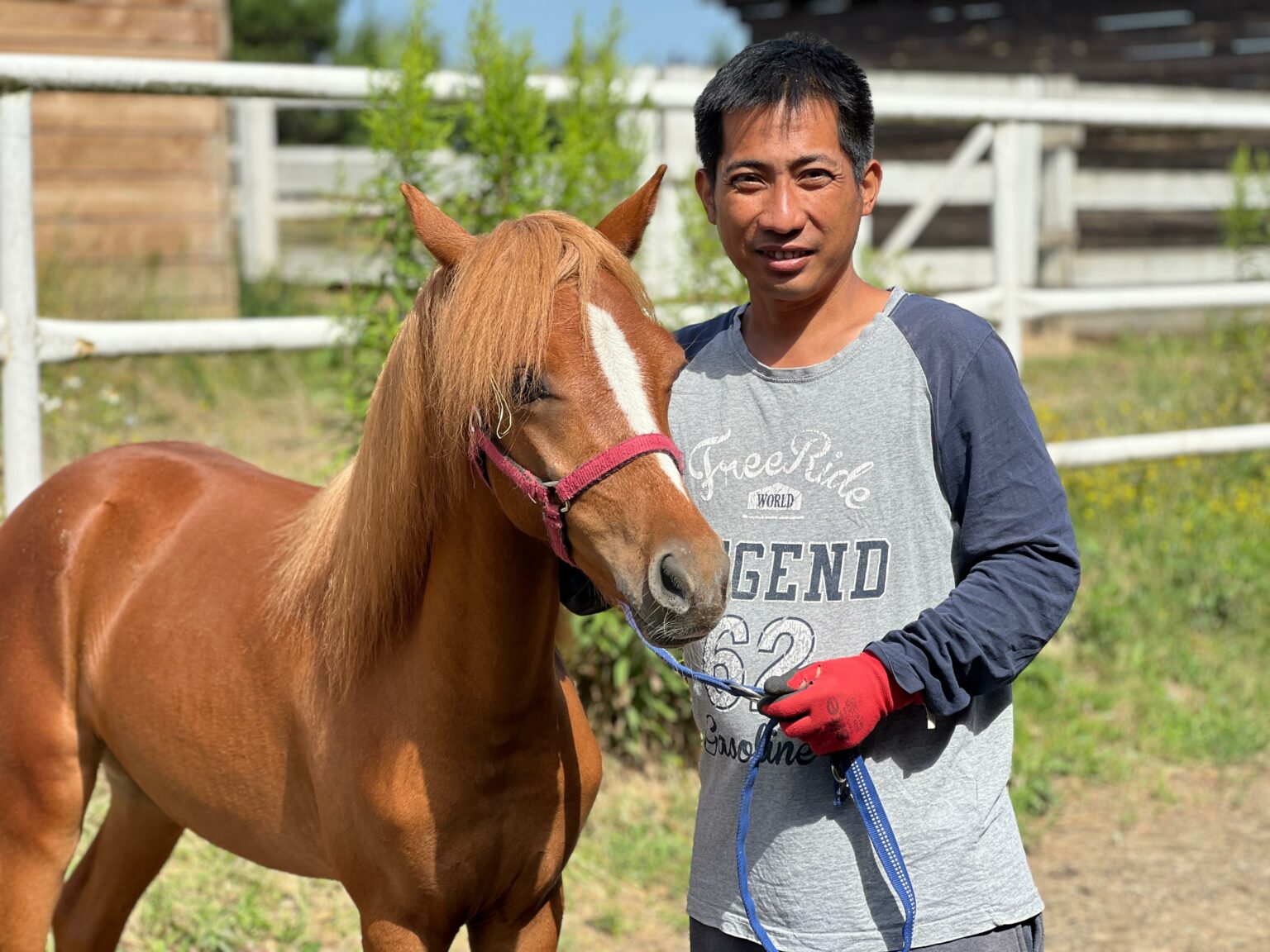 Homepage - Centaurus Fundation