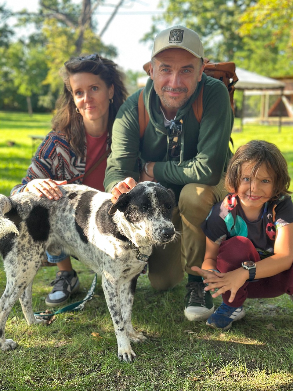 Toto - Fundacja centaurus