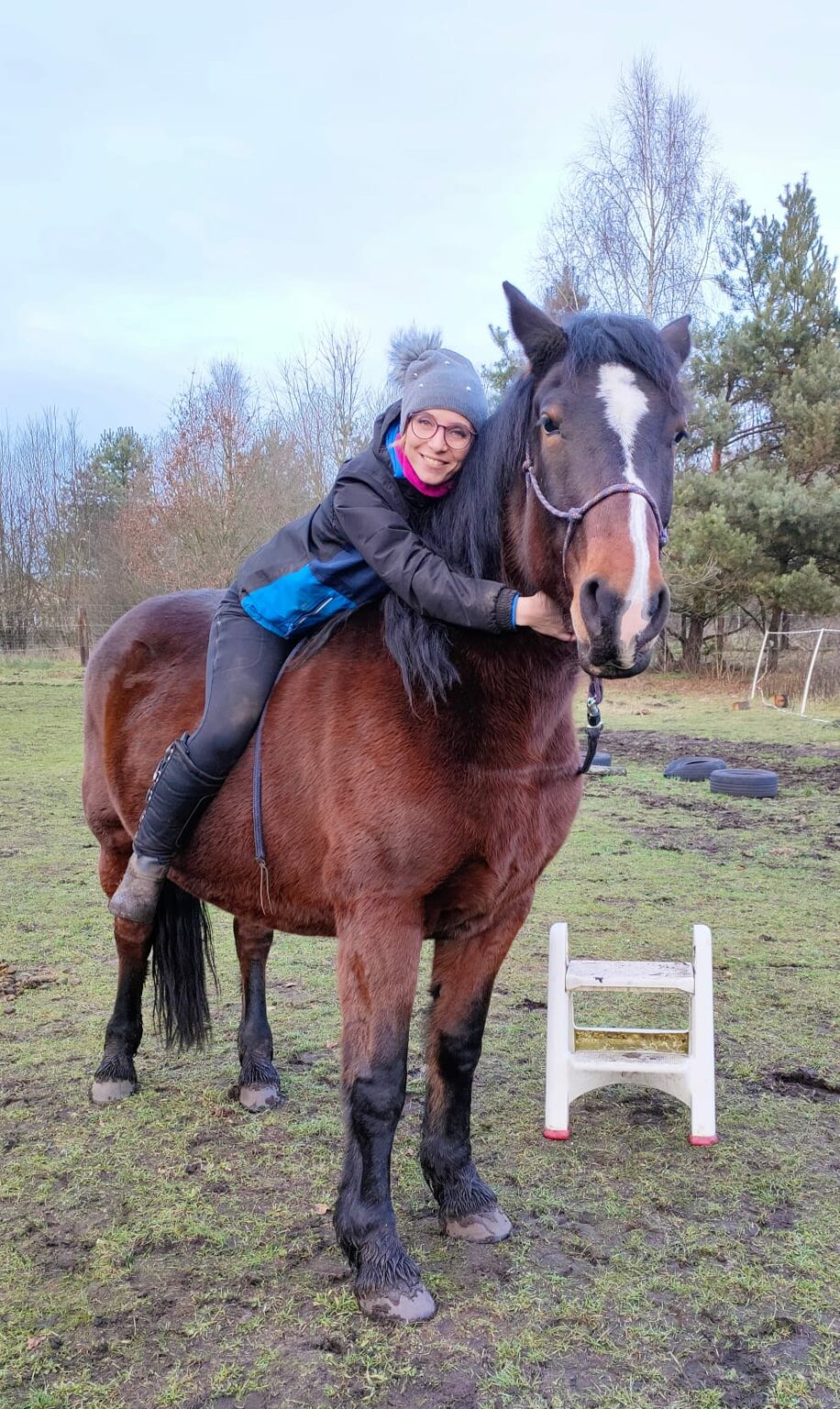 Homepage - Centaurus Fundation